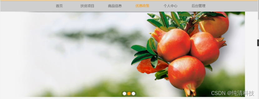 附源码 Python计算机毕业设计扶贫平台django(程序lw)